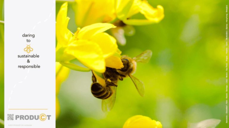 Daring to bee sustainable - Product Ltd